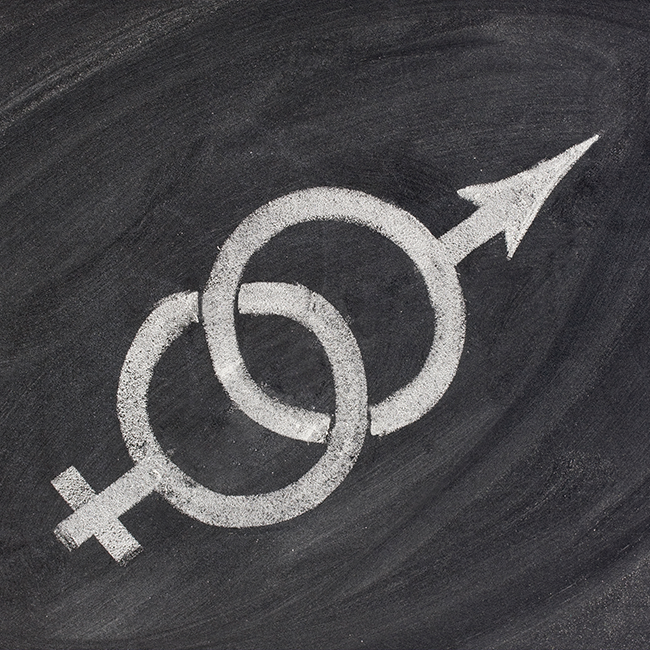Gender binaries: Unifiers or polarizers - SASCO